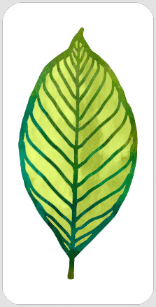 Layered Beech Leaf Stencil - A Colorful Life Designs