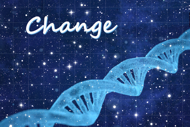 2nd April 2020 - Alpha Imaging Store