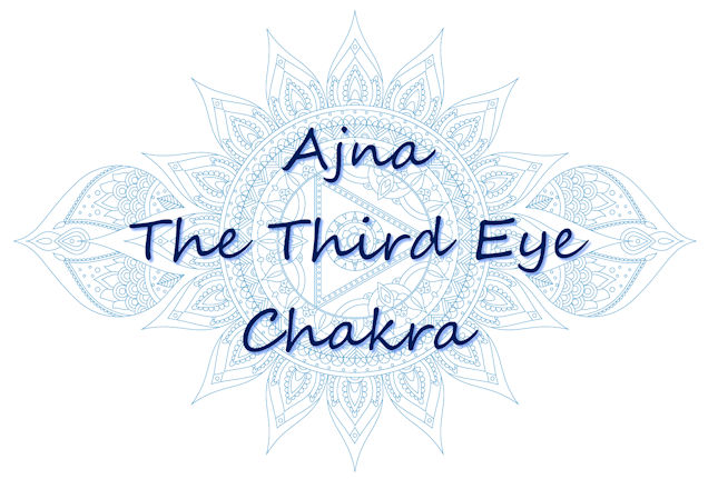 13th August 2020 - Alpha Imaging Store