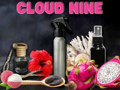 Cloud Nine - Notoriously Morbid