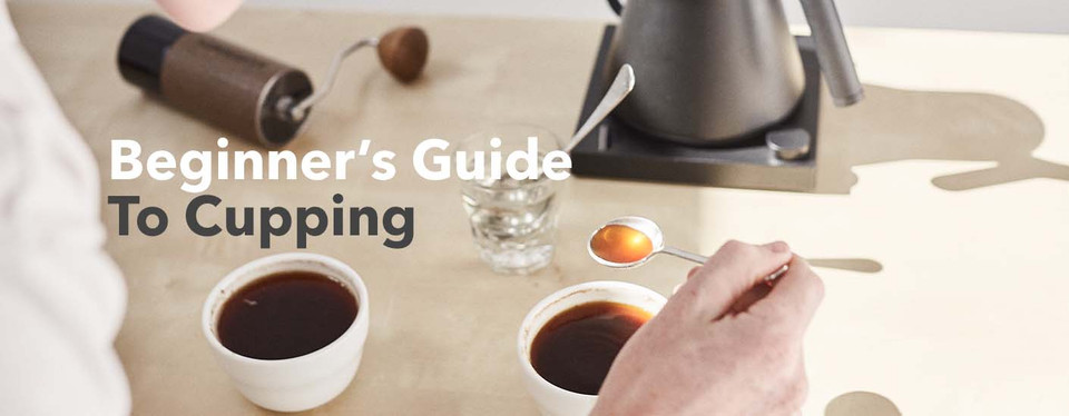 The Beginner's Guide to Cupping - Prima Coffee Equipment