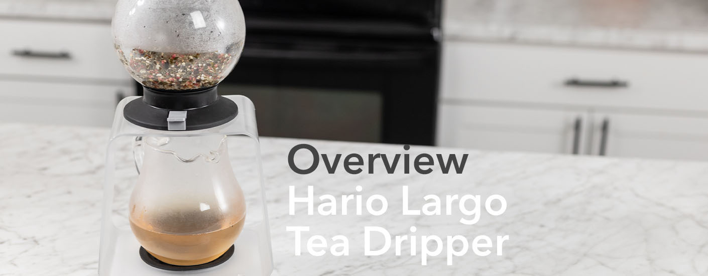 Video Overview | Hario Largo Tea Dripper - Prima Coffee Equipment
