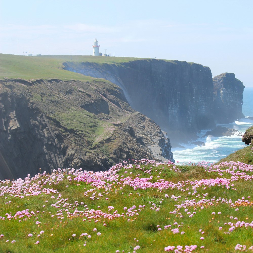 How Ireland's Natural Landscape and Flora Inspired Yarn Vibes 100% ...