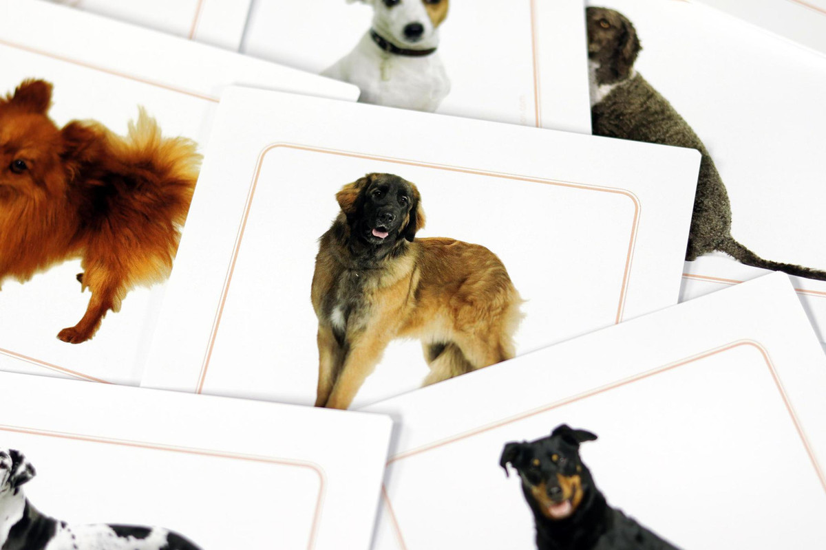 Dogs Silhouettes Matching Cards Kit II | ETC Montessori