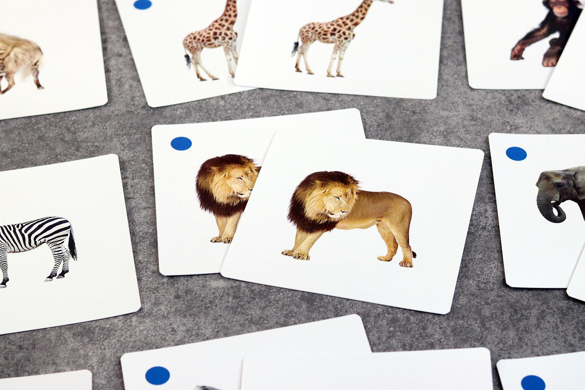 African Animal Matching Cards | Toddler | ETC Montessori