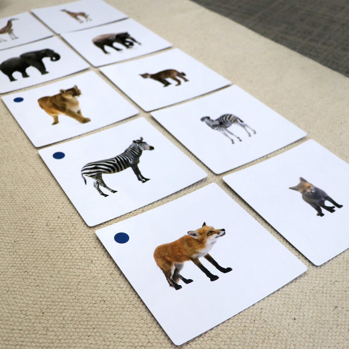 Wild Animals and Their Young Matching Cards | Toddler | ETC Montessori