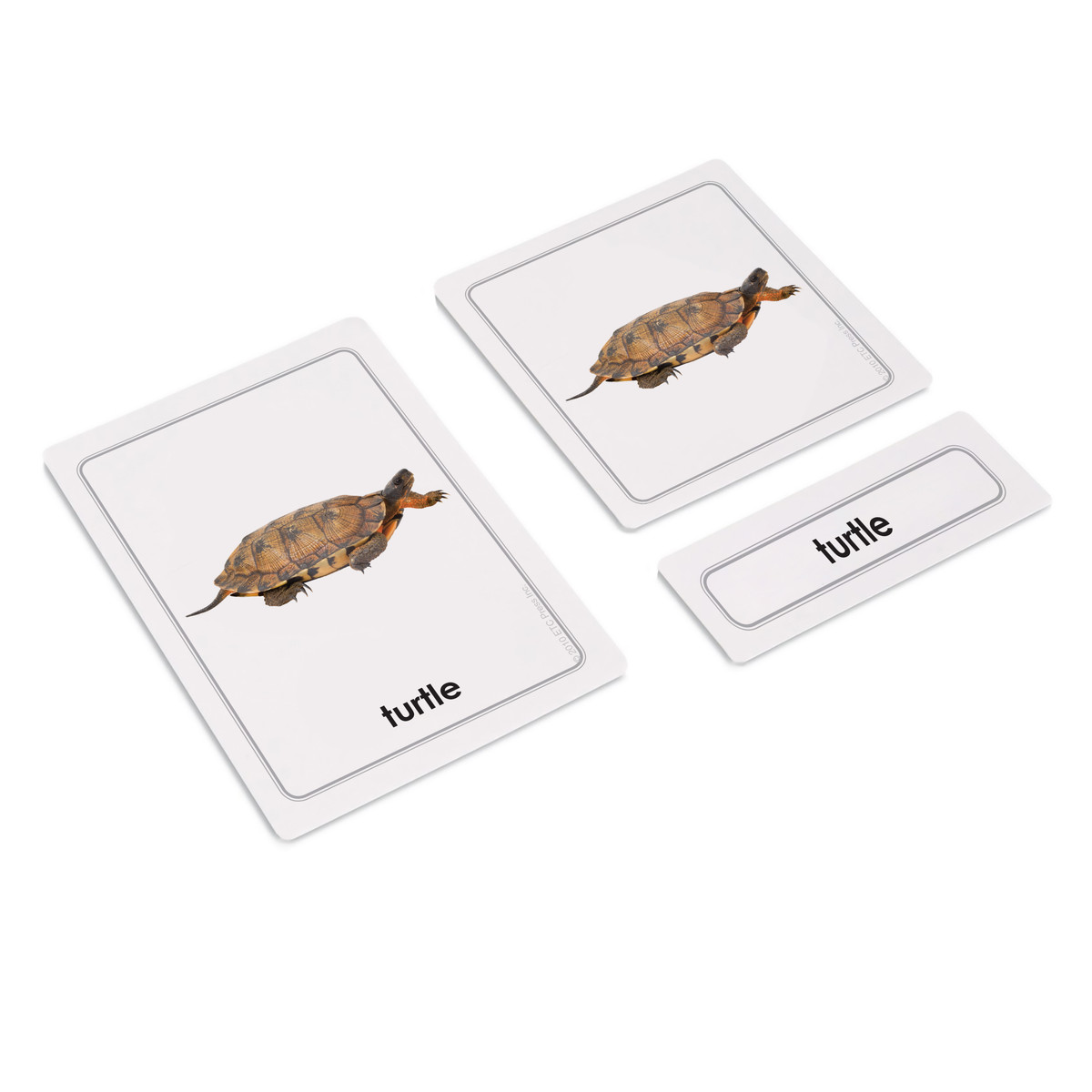 Parts of Vertebrates Bundle | ETC Montessori