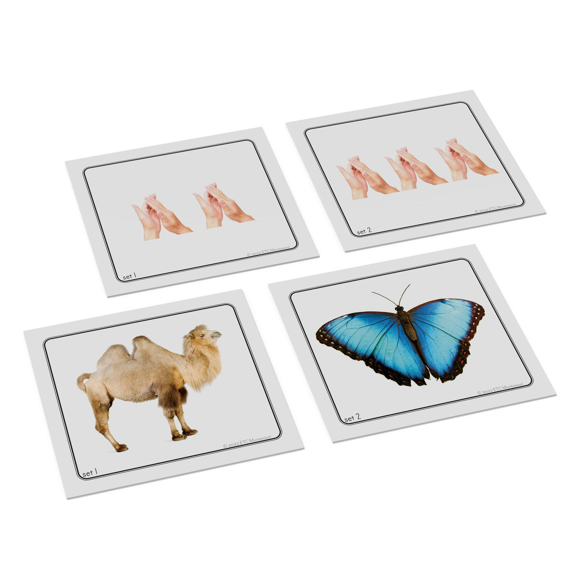 Syllable Sorting | ETC Montessori