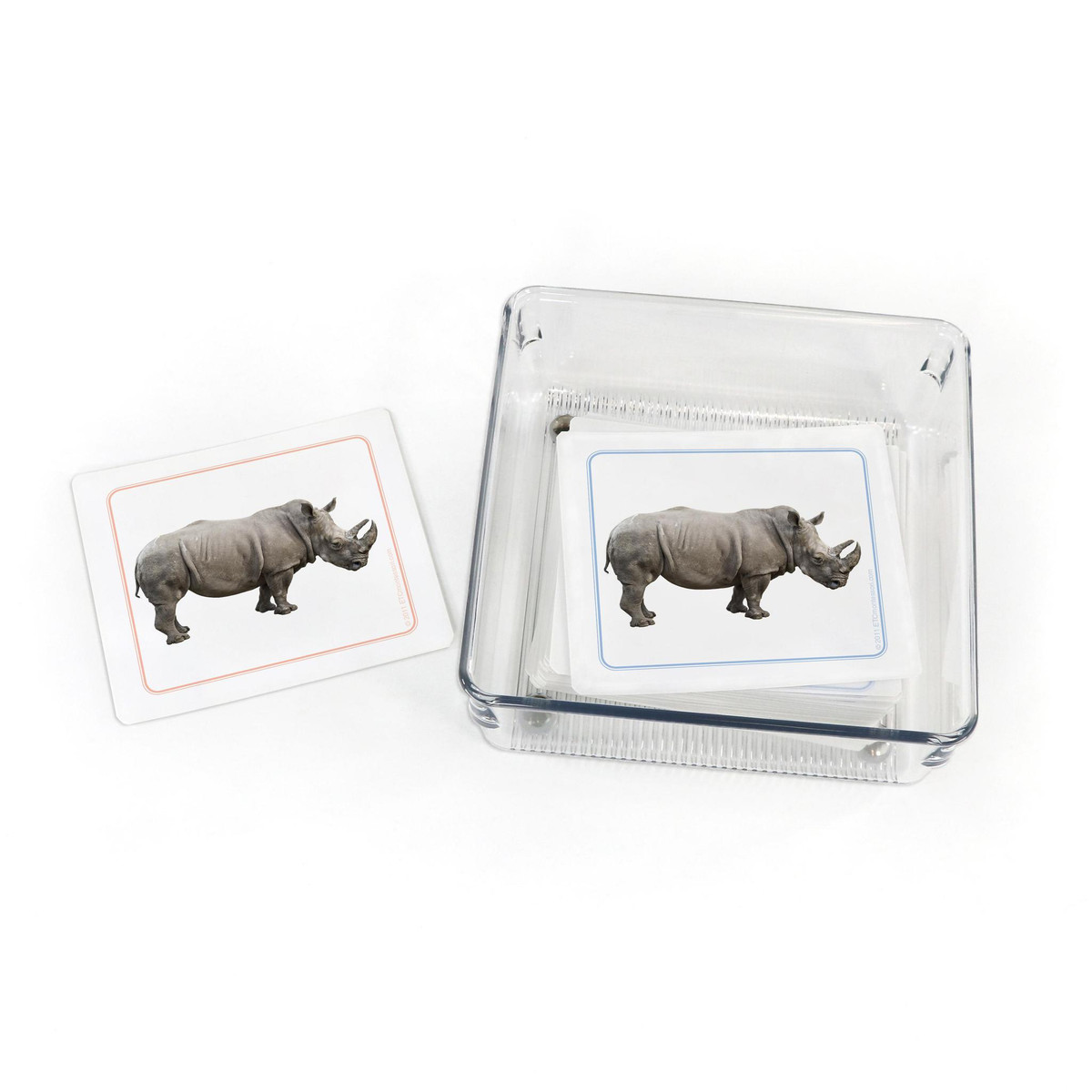 African Animals - Matching Cards | ETC Montessori