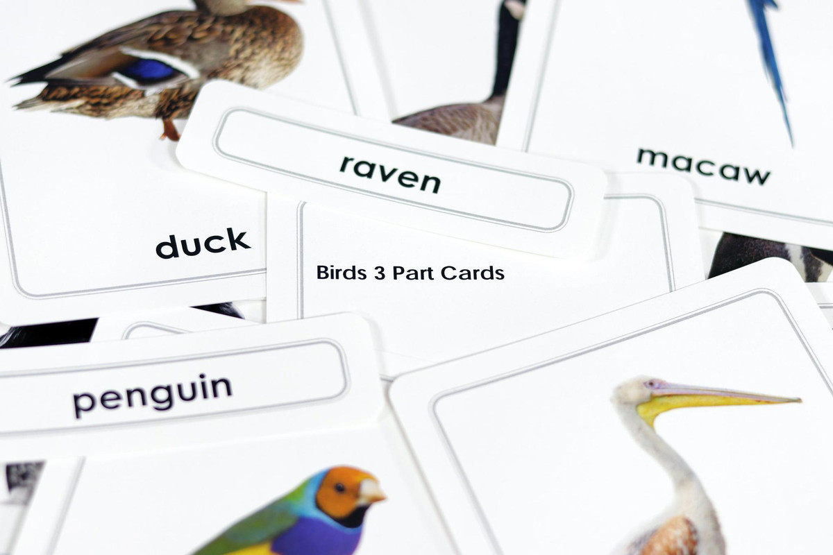 Birds 3 Part Cards - ETC Montessori Online