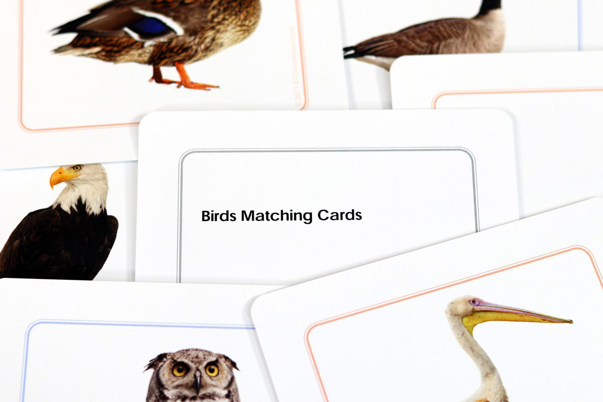 Birds - Matching Cards - ETC Montessori Online