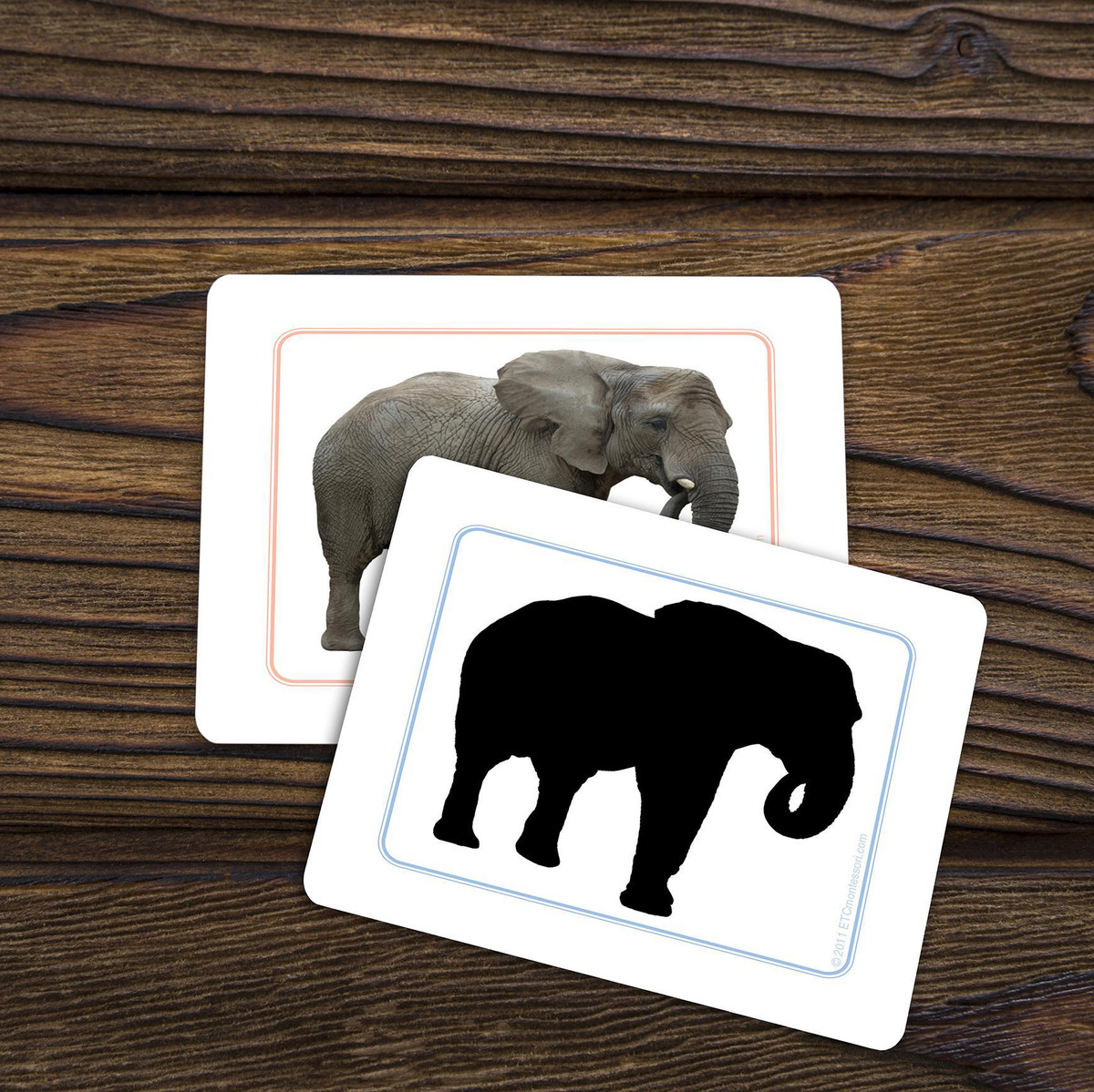 African Animals Silhouettes - Matching Cards - ETC Montessori Online