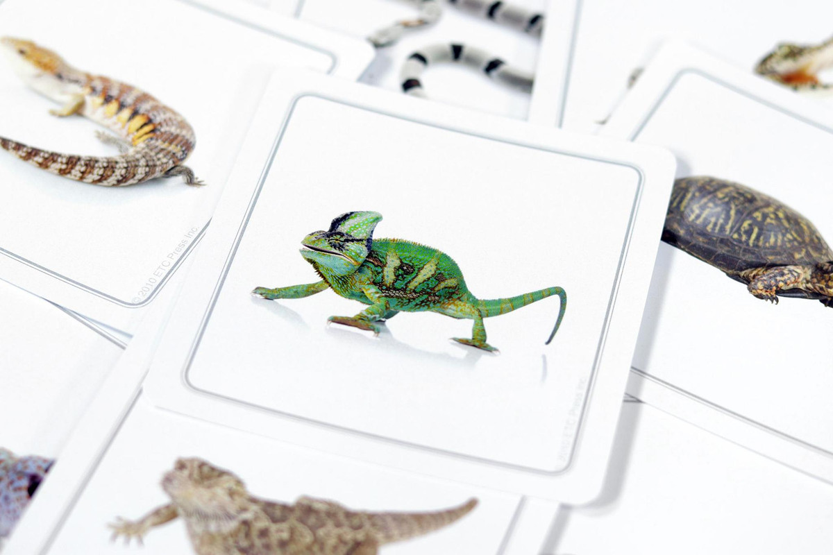 Reptiles 3 Part Cards - ETC Montessori Online