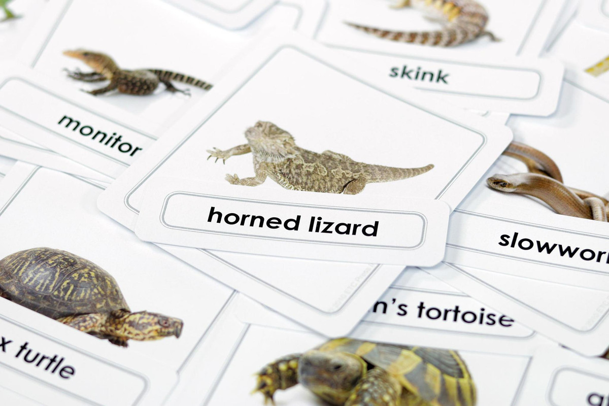 Reptiles 3 Part Cards - ETC Montessori Online