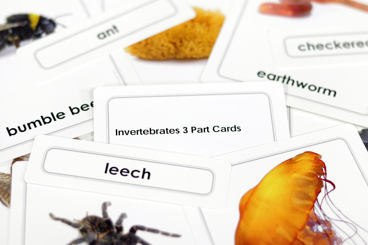 Invertebrates 3 Part Cards - ETC Montessori Online