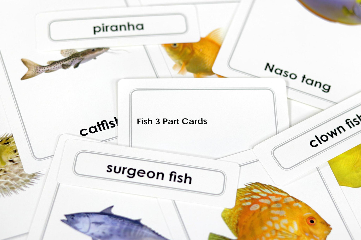 Fish 3 Part Cards - ETC Montessori Online