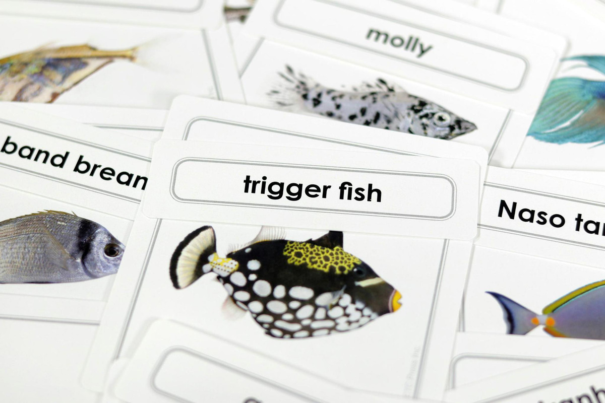 Fish 3 Part Cards - ETC Montessori Online