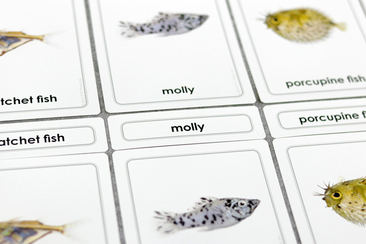 Fish 3 Part Cards - ETC Montessori Online