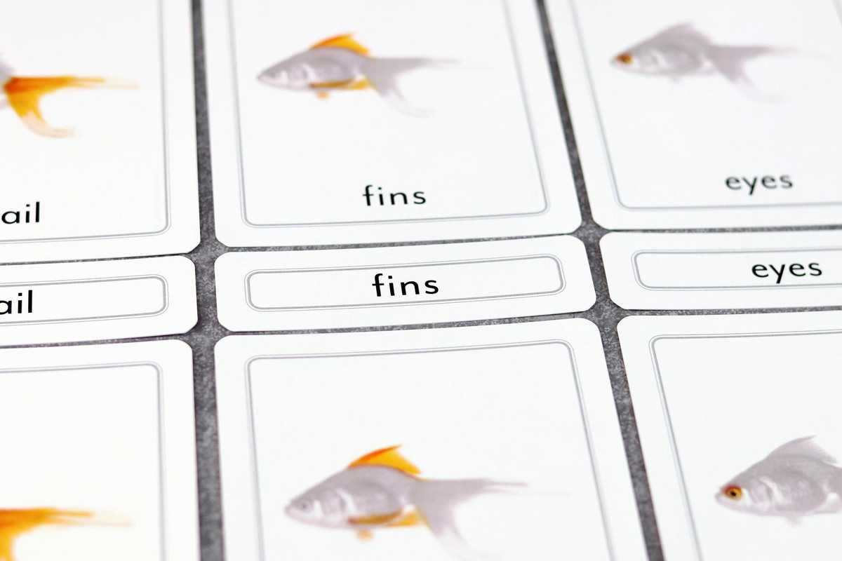 Parts of a Fish 3 Part Cards - ETC Montessori Online