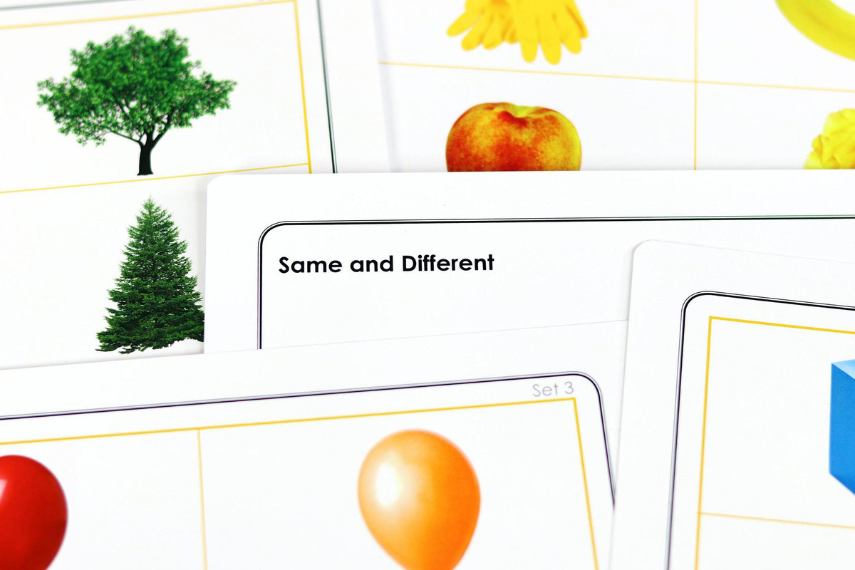 Same and Different - ETC Montessori Online