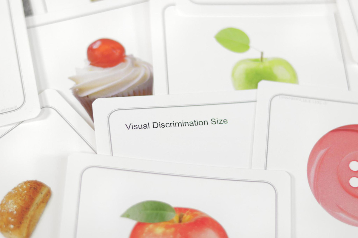 Visual Discrimination: Size - ETC Montessori Online