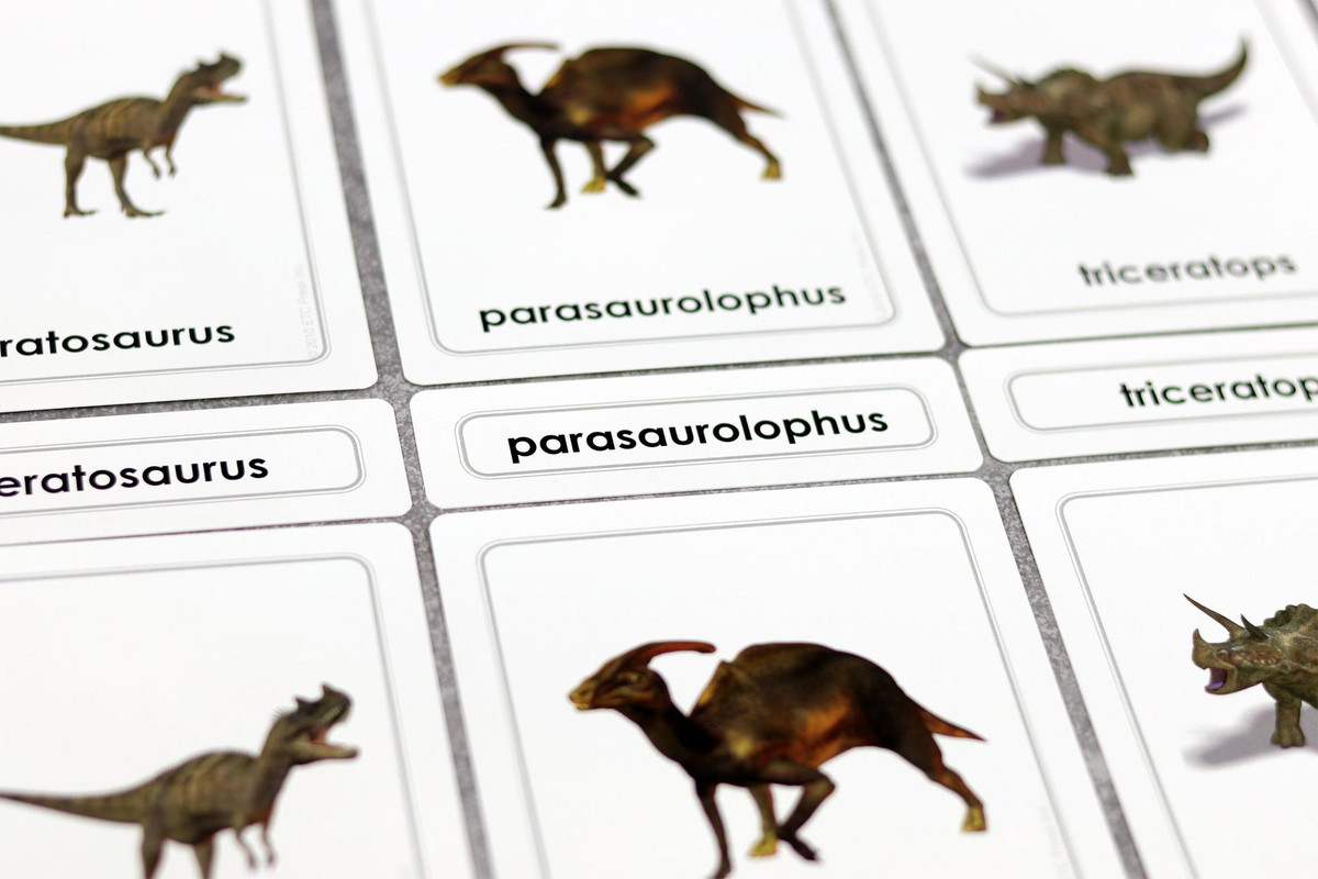 Dinosaurs 3 Part Cards - ETC Montessori Online