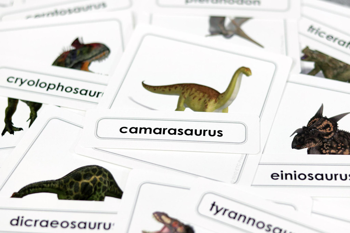 Dinosaurs 3 Part Cards - ETC Montessori Online