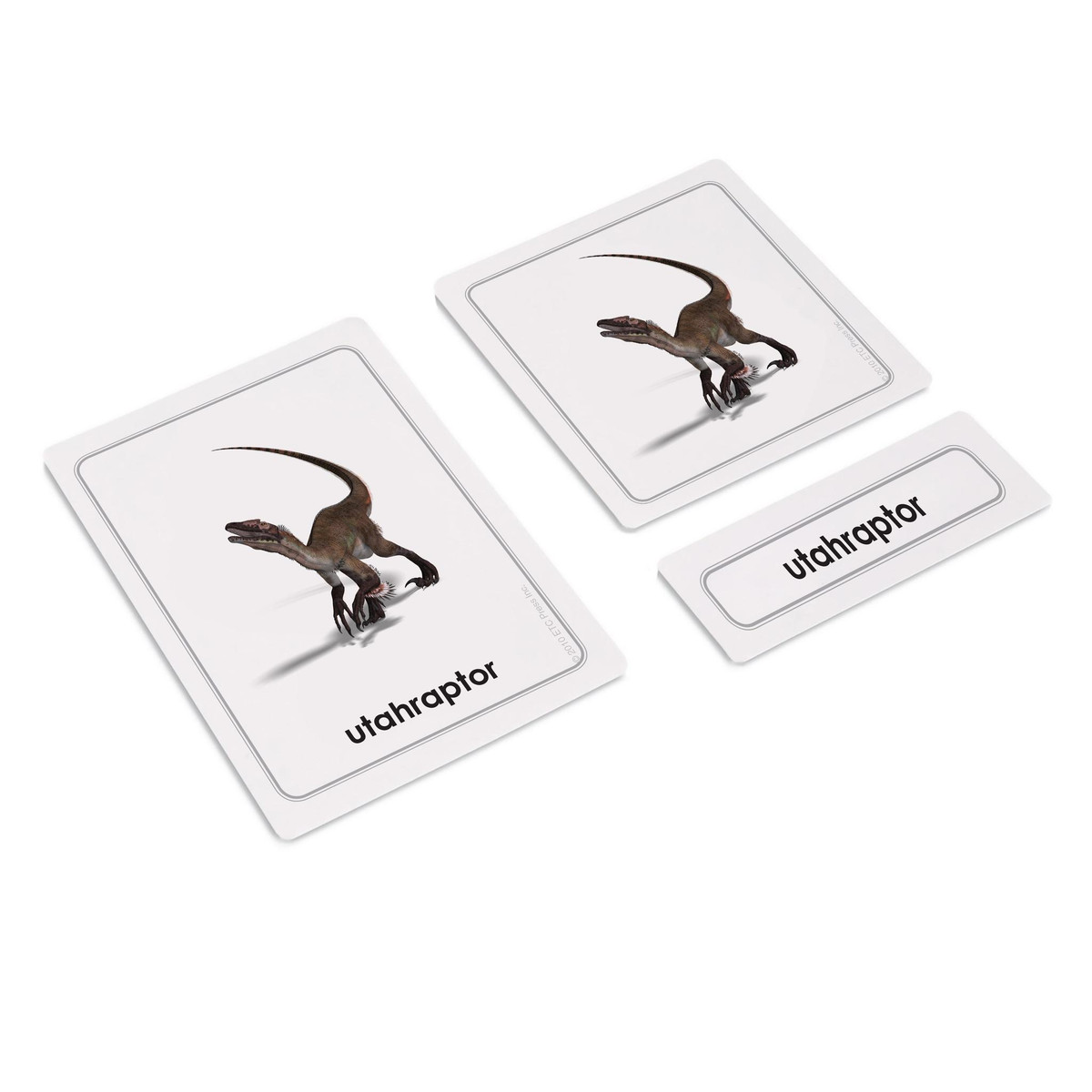 Dinosaurs 3 Part Cards - ETC Montessori Online
