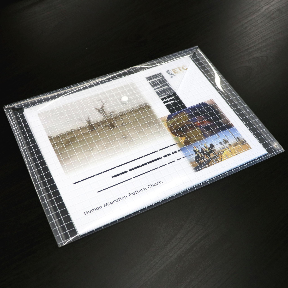 Patterns of Human Migration Charts | ETC Montessori