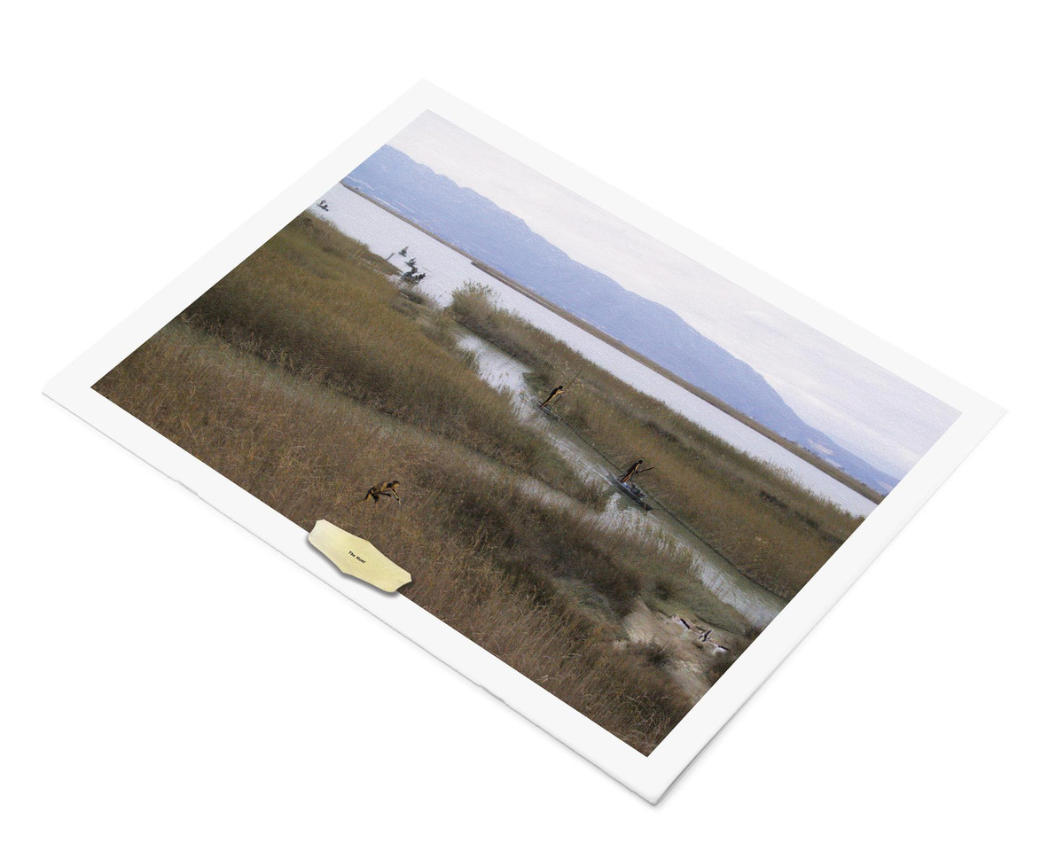 Patterns of Human Migration Charts | ETC Montessori