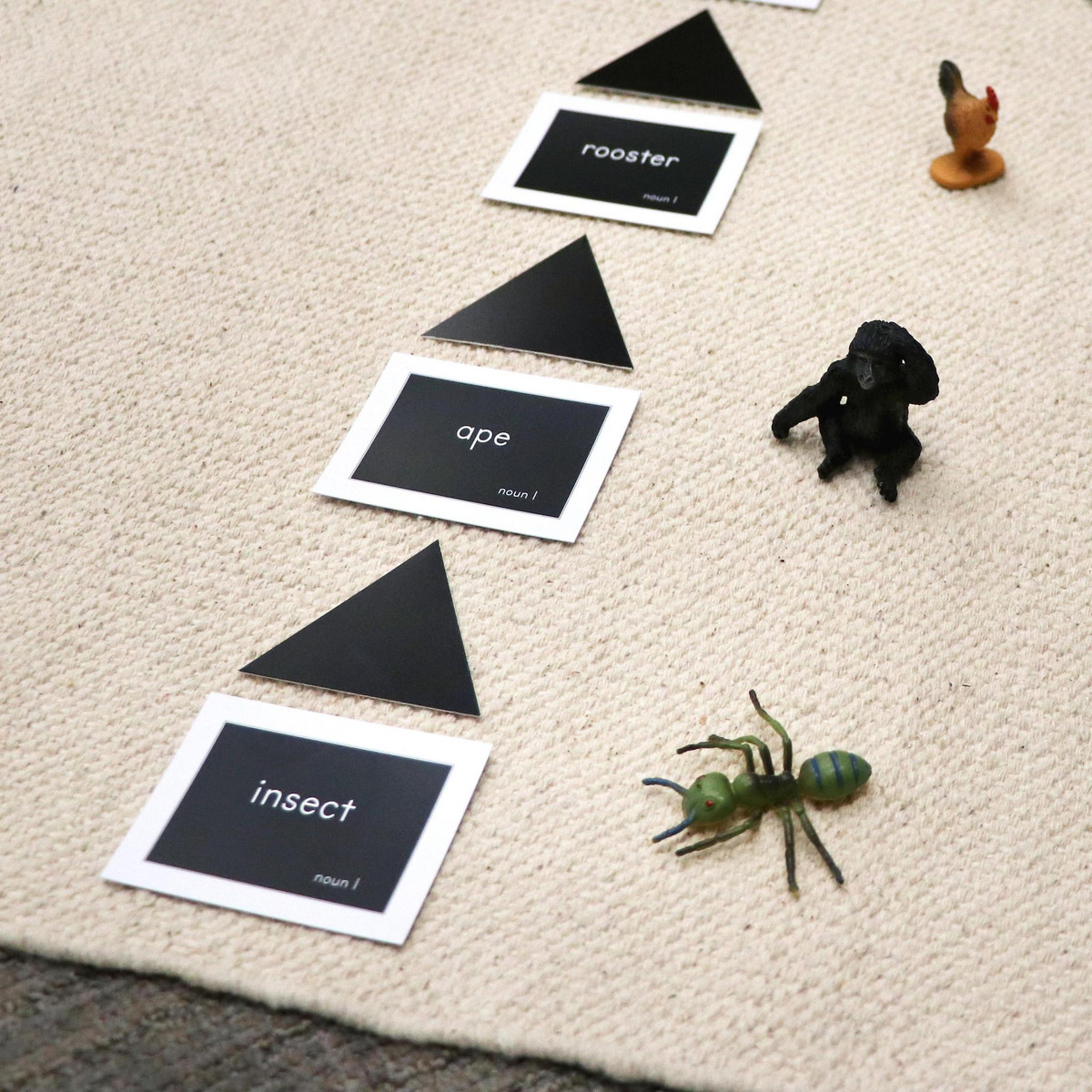 Function of Words | ETC Montessori