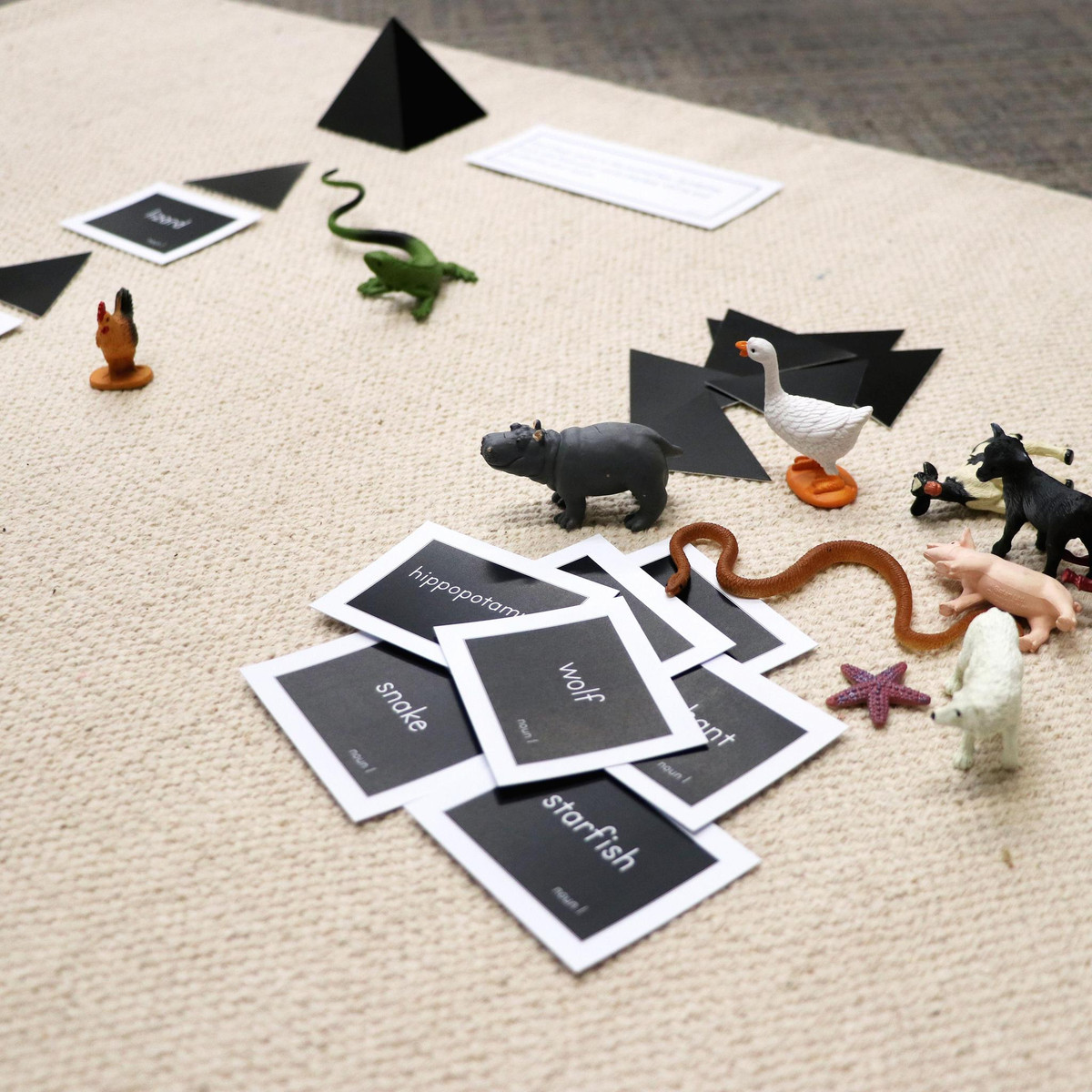 Function of Words | ETC Montessori