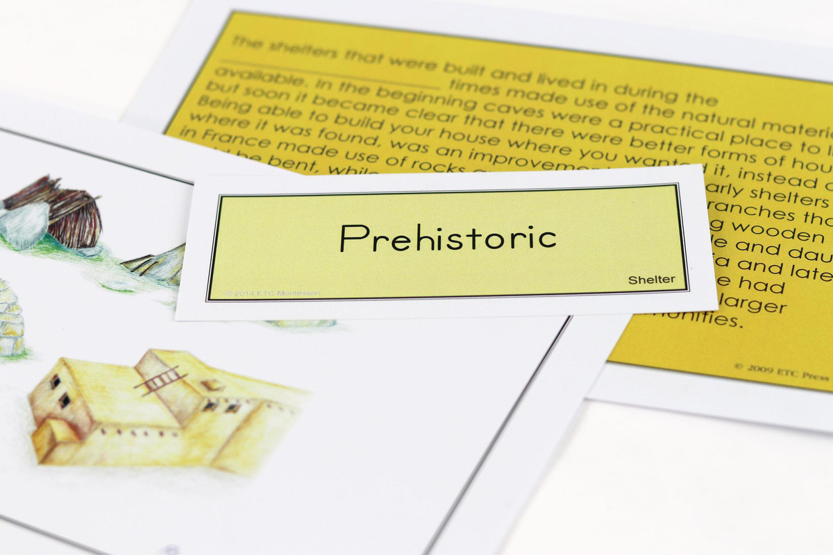 Fundamental Needs of Humans | ETC Montessori