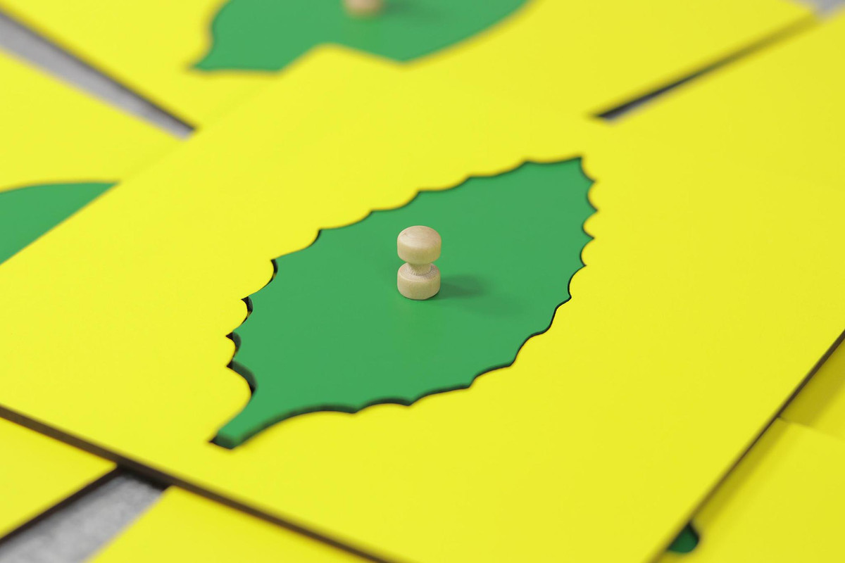 Leaf Shapes Insets For The Botany Cabinet | ETC Montessori