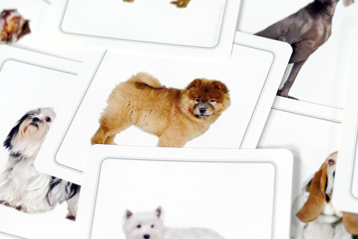 Dogs 3 Part Cards Kit I - ETC Montessori Online