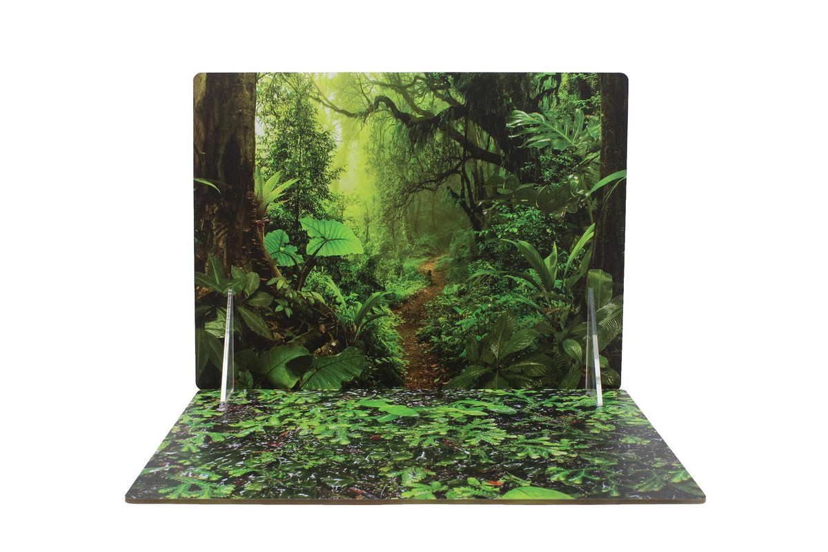 Early Childhood Biome Study: Rainforest | ETC Montessori