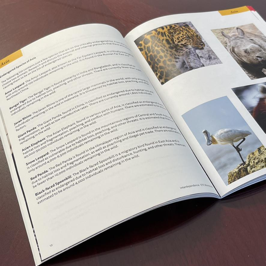 Interconnected ecosystems | ETC Montessori