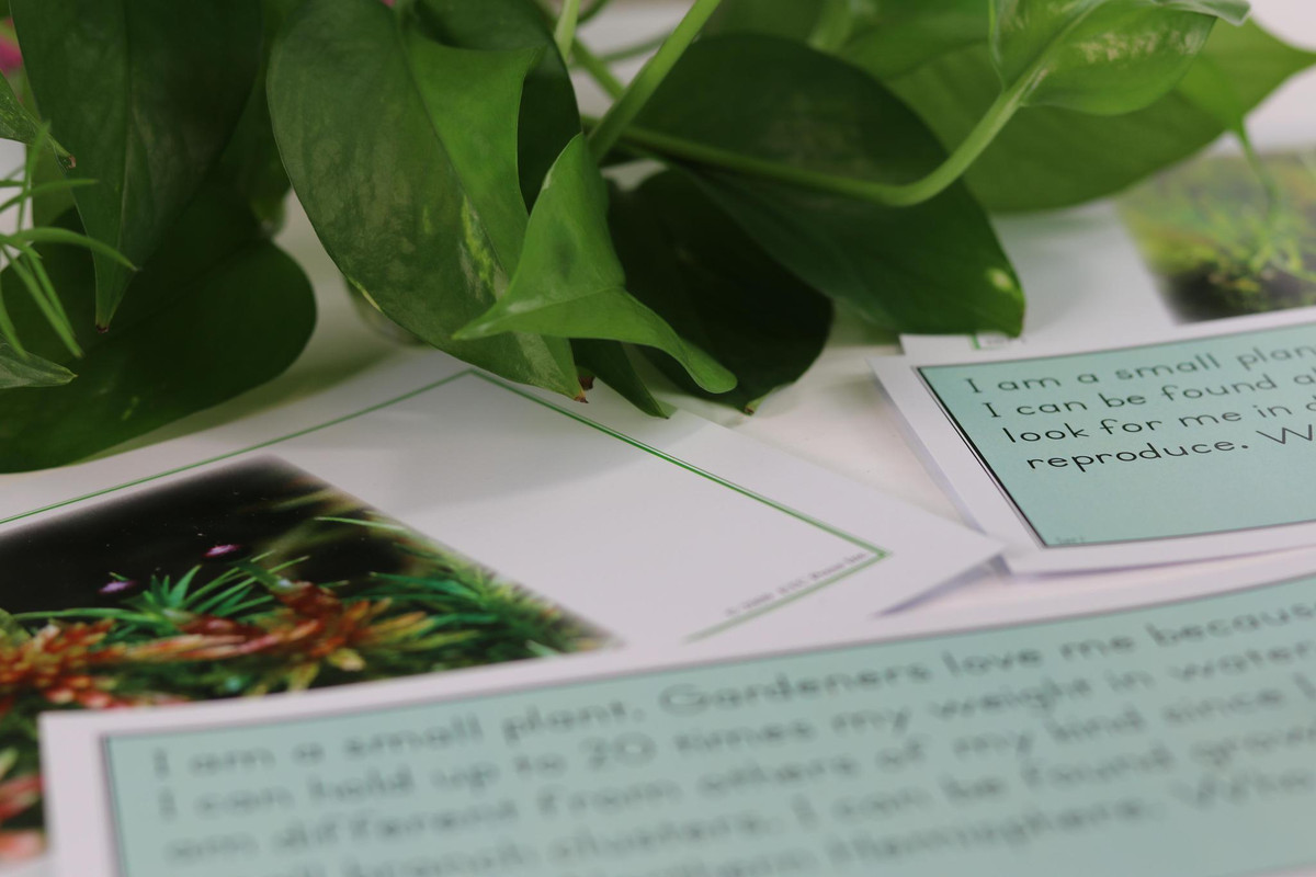 Plant Stories and Who Am I Cards | ETC Montessori