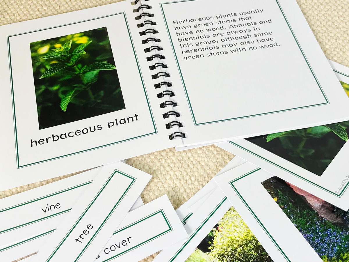 Botany Nomenclature Level 6-9 | ETC Montessori