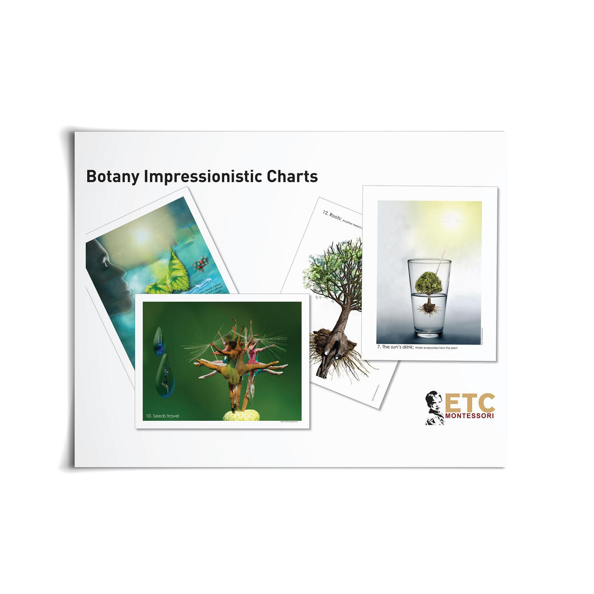 Large Botany Impressionistic Charts | ETC