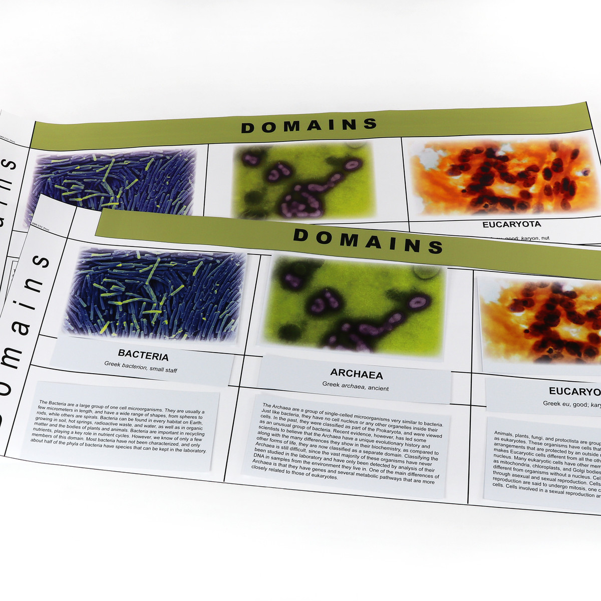 The Three Domains Chart | ETC Montessori