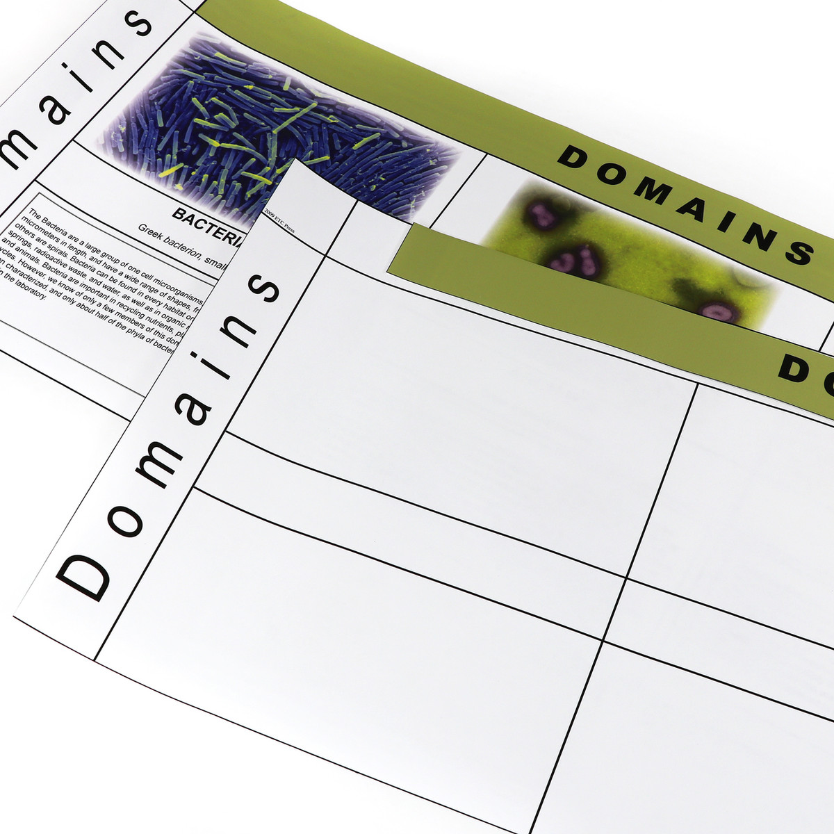The Three Domains Chart | ETC Montessori
