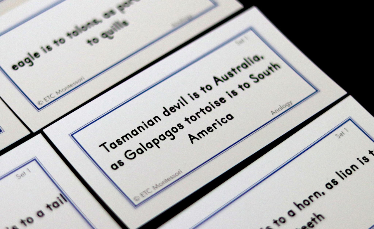 Word Study Level 9-12 | ETC Montessori