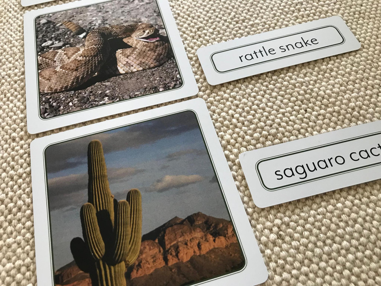 Plants and Animals of the Biomes - ETC Montessori Online