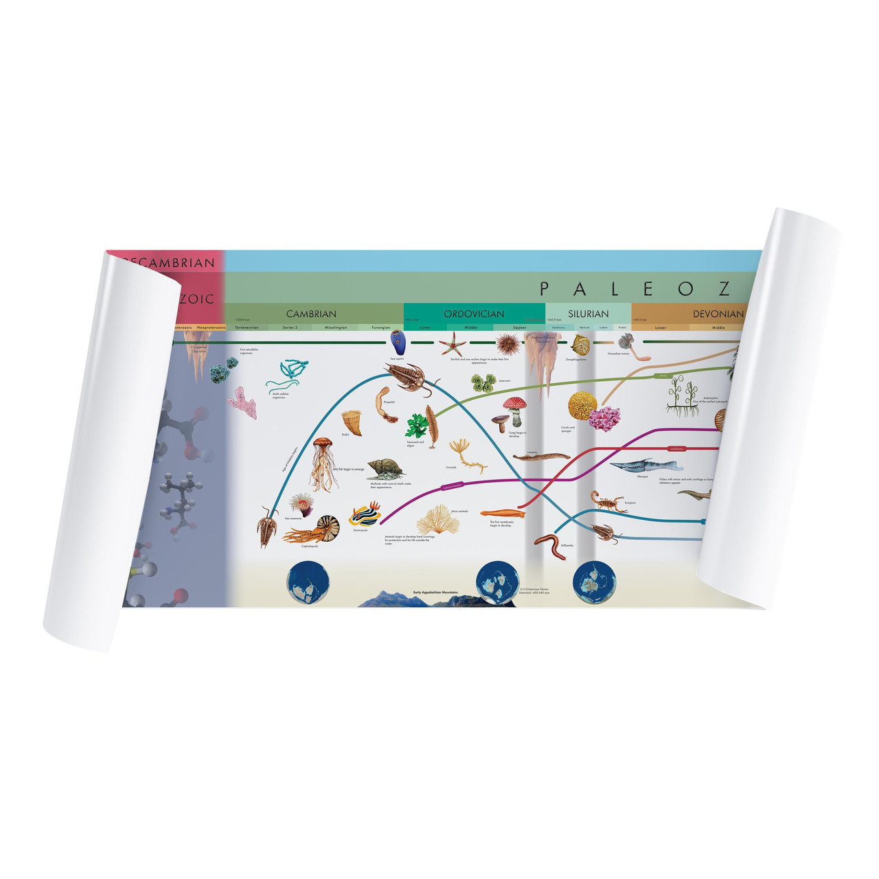 Montessori Curriculum | ETC Montessori