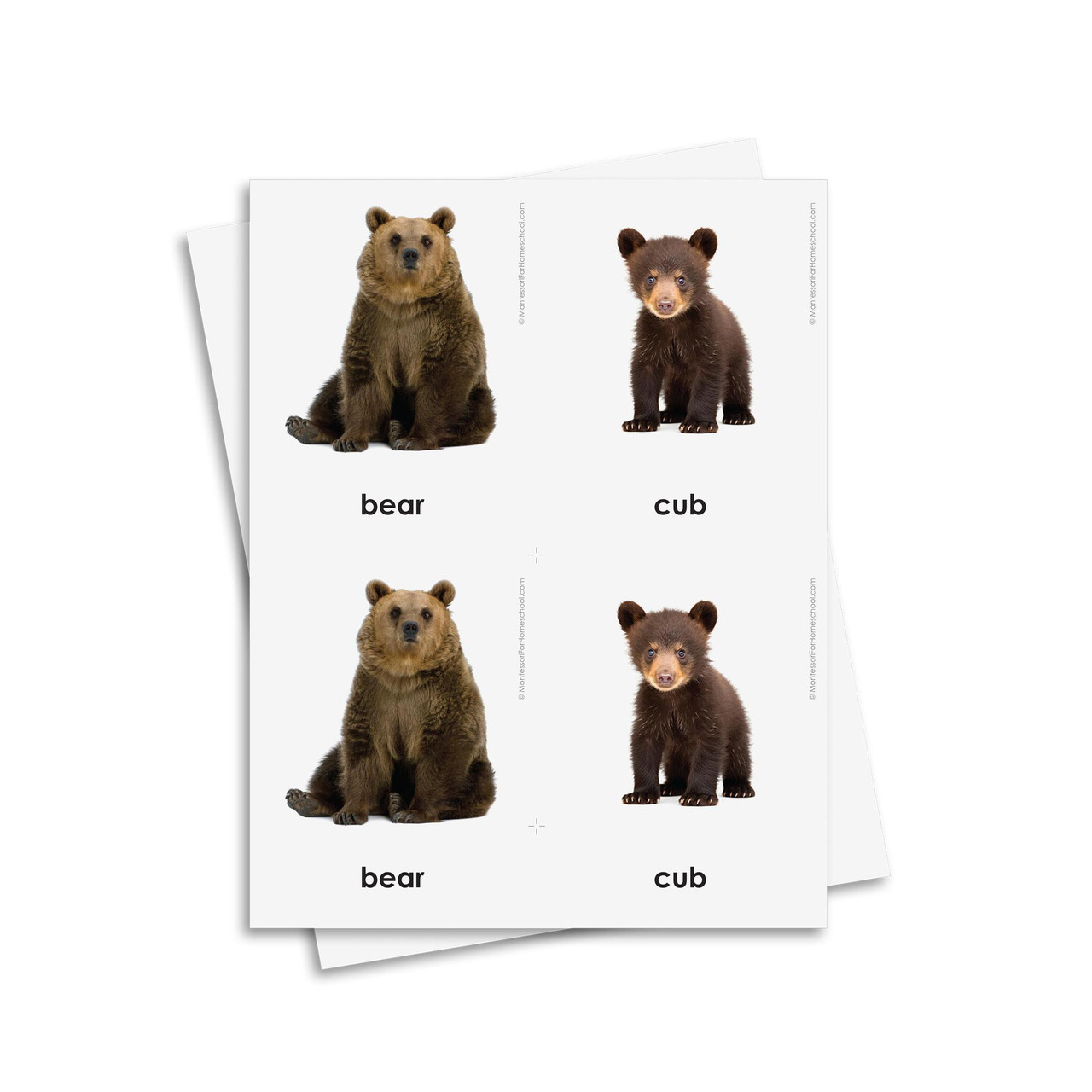Animal Young 3 Part Cards - Homeschool Edition - ETC Montessori Online