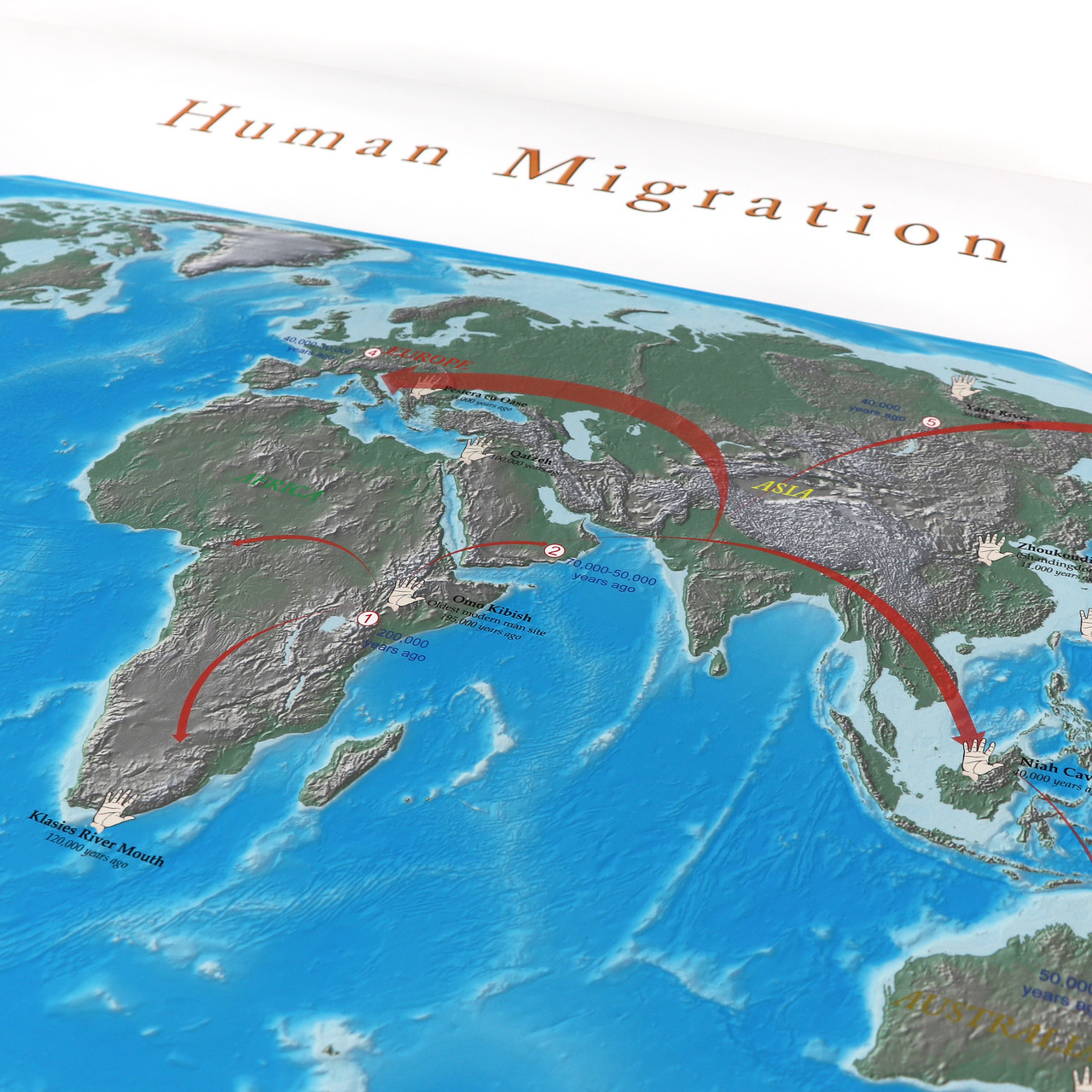 The Human Migration Chart | ETC Montessori