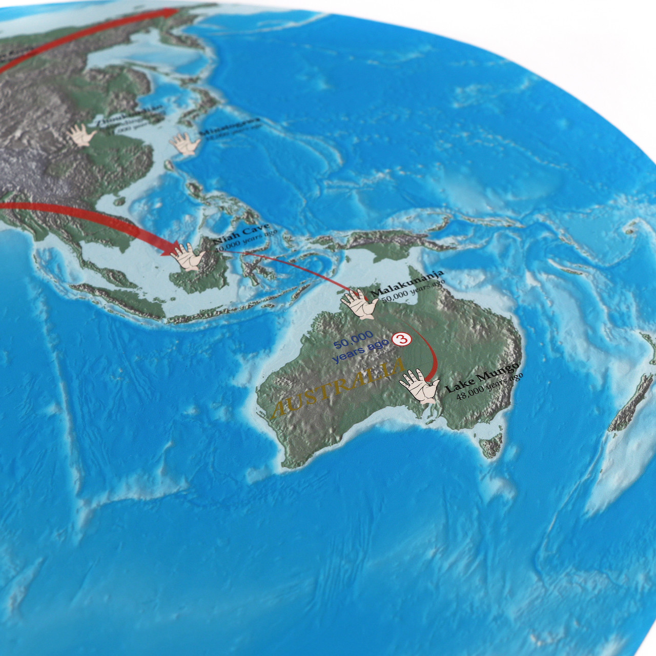The Human Migration Chart | ETC Montessori