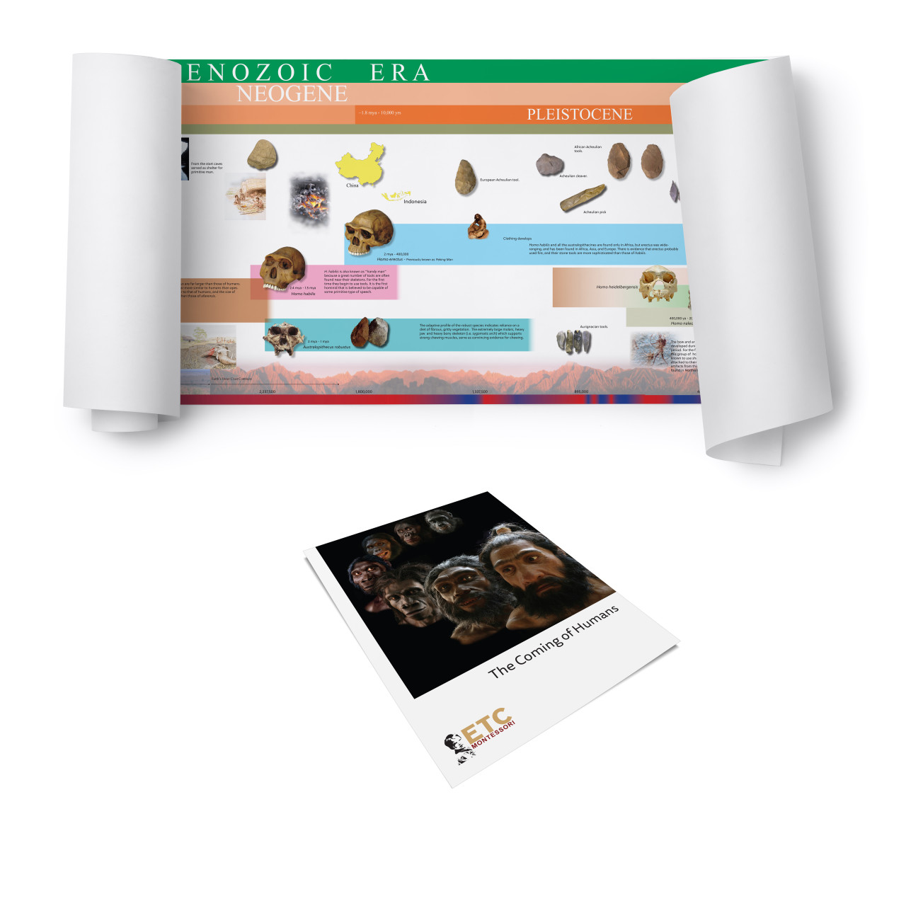 Early Humans Bundle | ETC Montessori