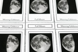 Phases of the Moon Nomenclature